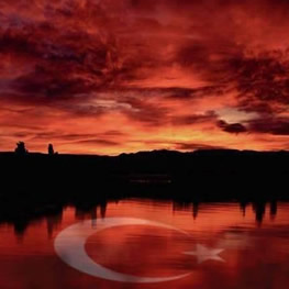 Videos - Erhan Demir (@erhandemir) | MyECO